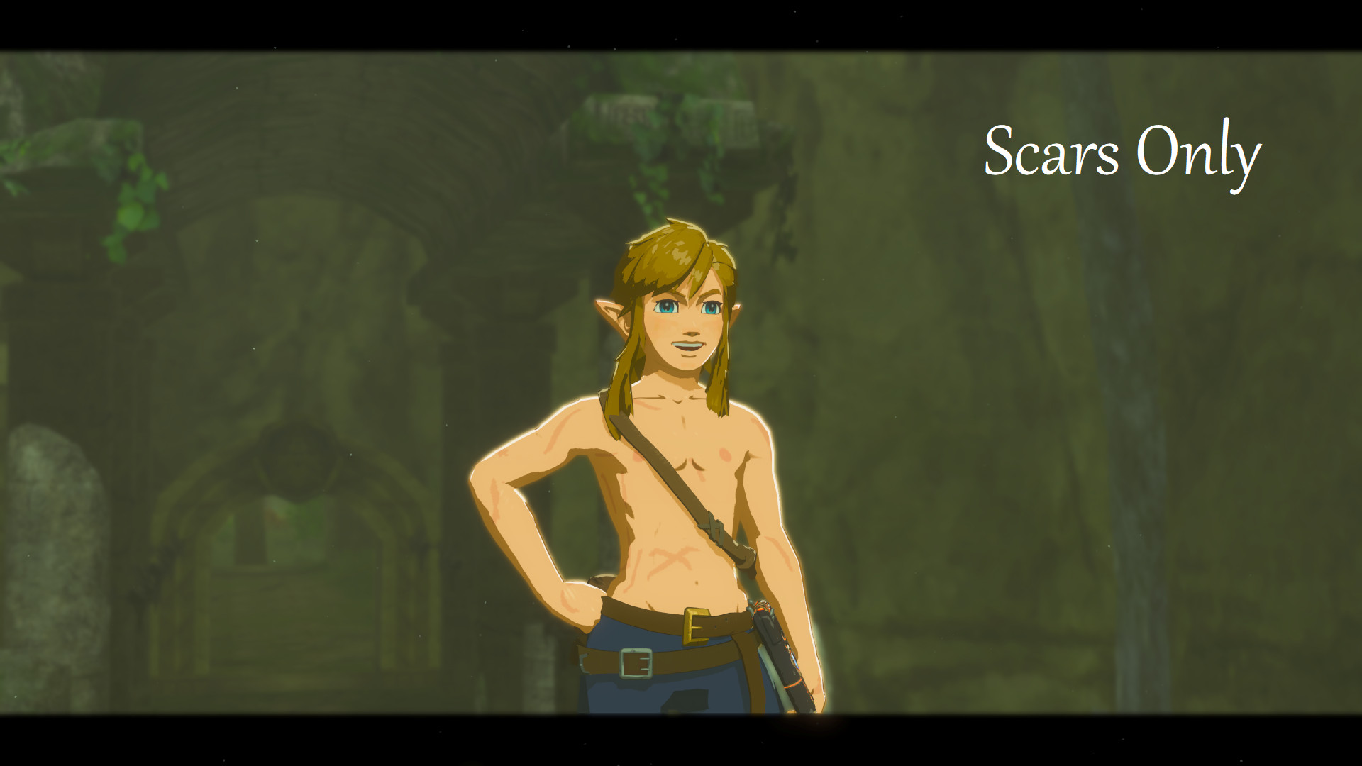 Burned & Scarred Link: Linked Universe Link Mod for The Legend of Zelda ...