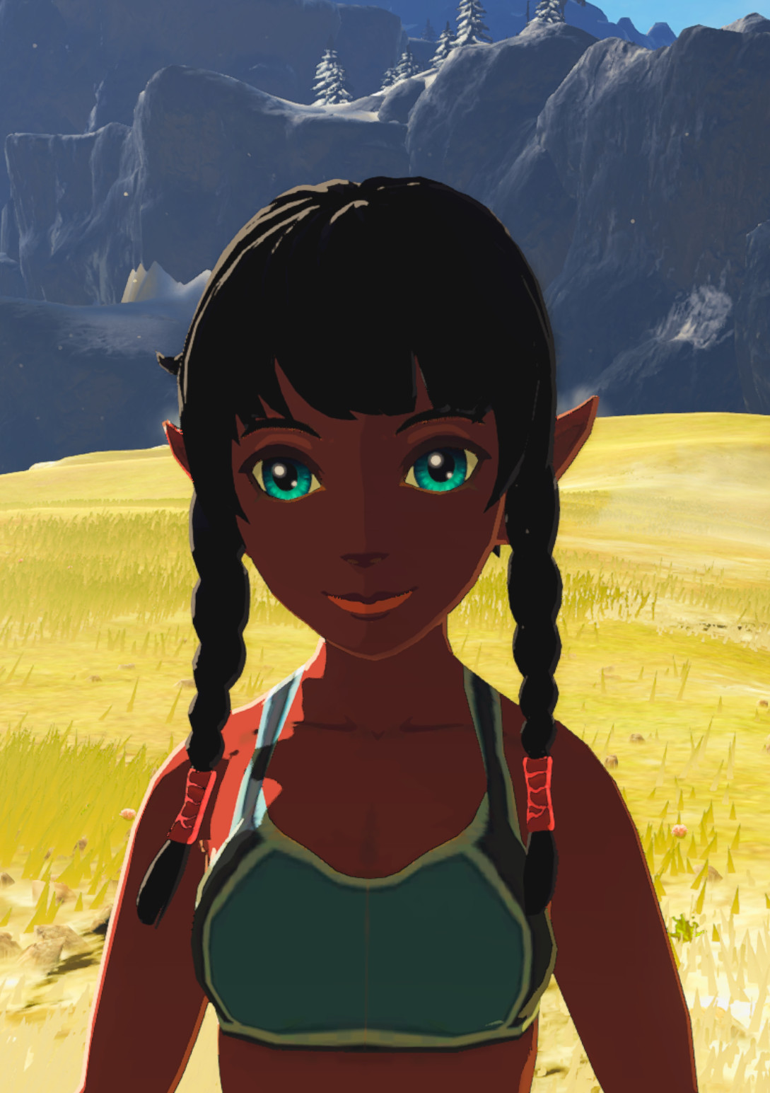 [Linkle 3.0] Tan++ Mod for The Legend of Zelda: Breath of the Wild ...