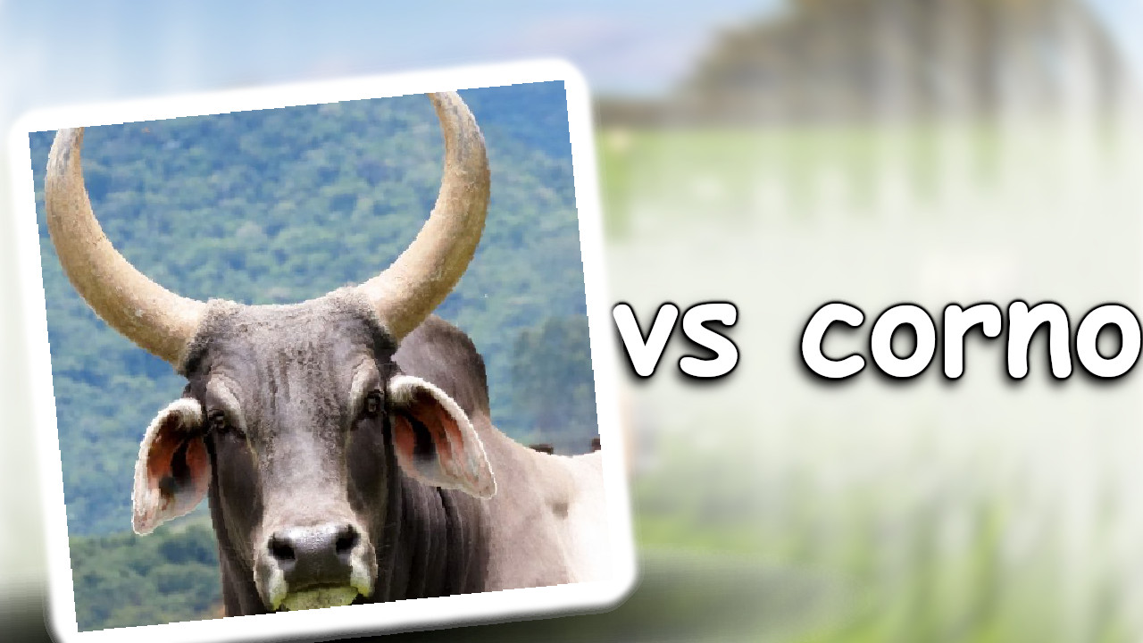 vs corno [Friday Night Funkin'] [Mods]