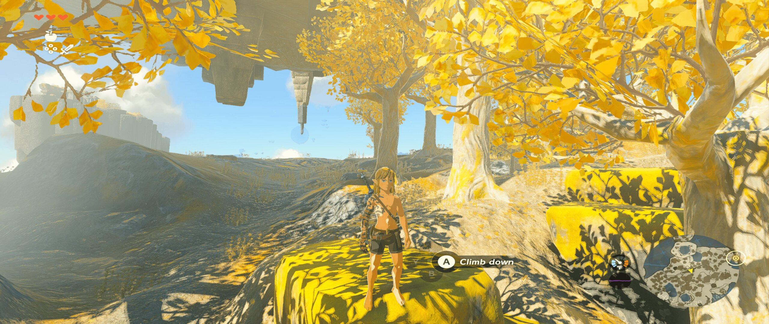 Any Aspect Ratio (Steam Deck/Ultrawide/Custom) Mod for The Legend of ...