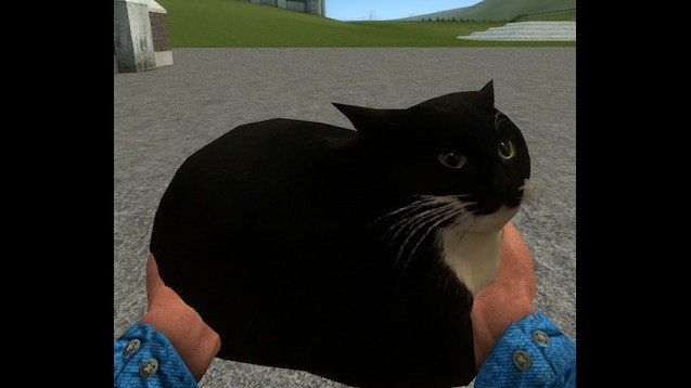 CATS(S[S{S}]) MODPACK Mod for Garry's Mod | GMod Mods