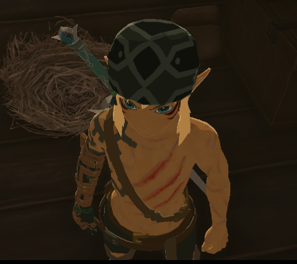 Scars, Wounds and Automail (Optional versions) Mod for The Legend of ...