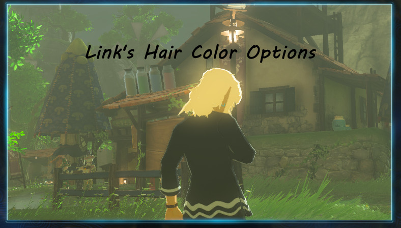 Link's Hair Color (Natural and Fantasy Options) Mod for The Legend of ...