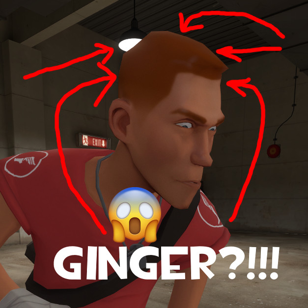 Randomized Mercs Mod (With Eyes!) Mod for Team Fortress 2 Classic ...