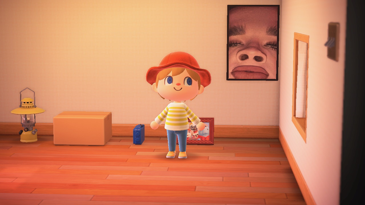 James Charles Poster Mod for Animal Crossing: New Horizons | ACNH Mods