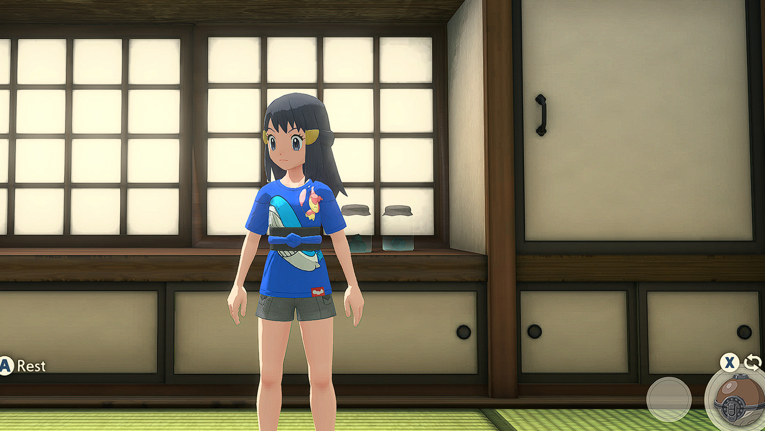 Wailord Skitty and Clodsire shirt Mod for Pokémon Legends: Arceus | PLA ...