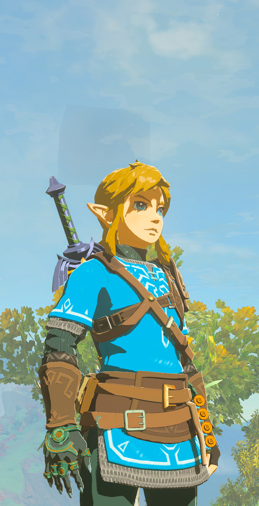 Ultra Green Hand Mod for The Legend of Zelda: Tears of the Kingdom ...