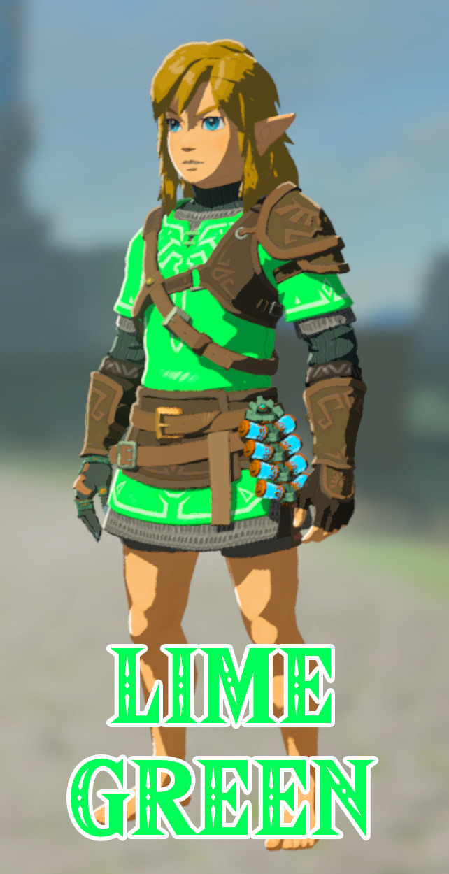 Champion's Leathers Recolor Pack Mod for The Legend of Zelda: Tears of ...