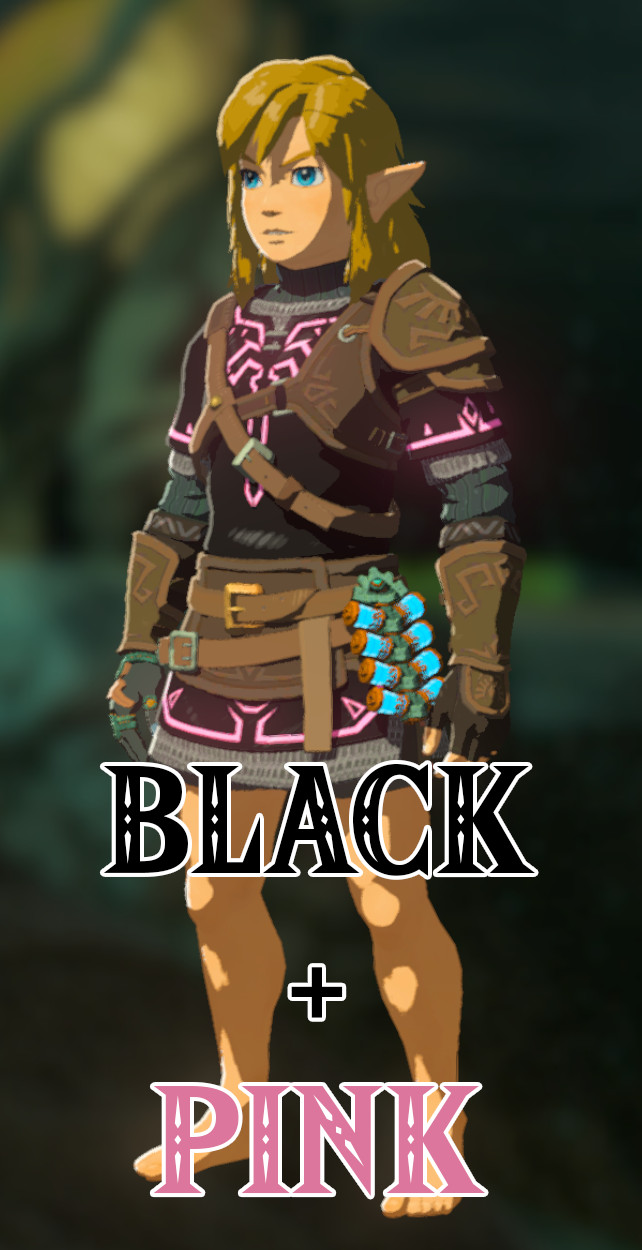 Champion's Leathers Recolor Pack Mod for The Legend of Zelda: Tears of ...