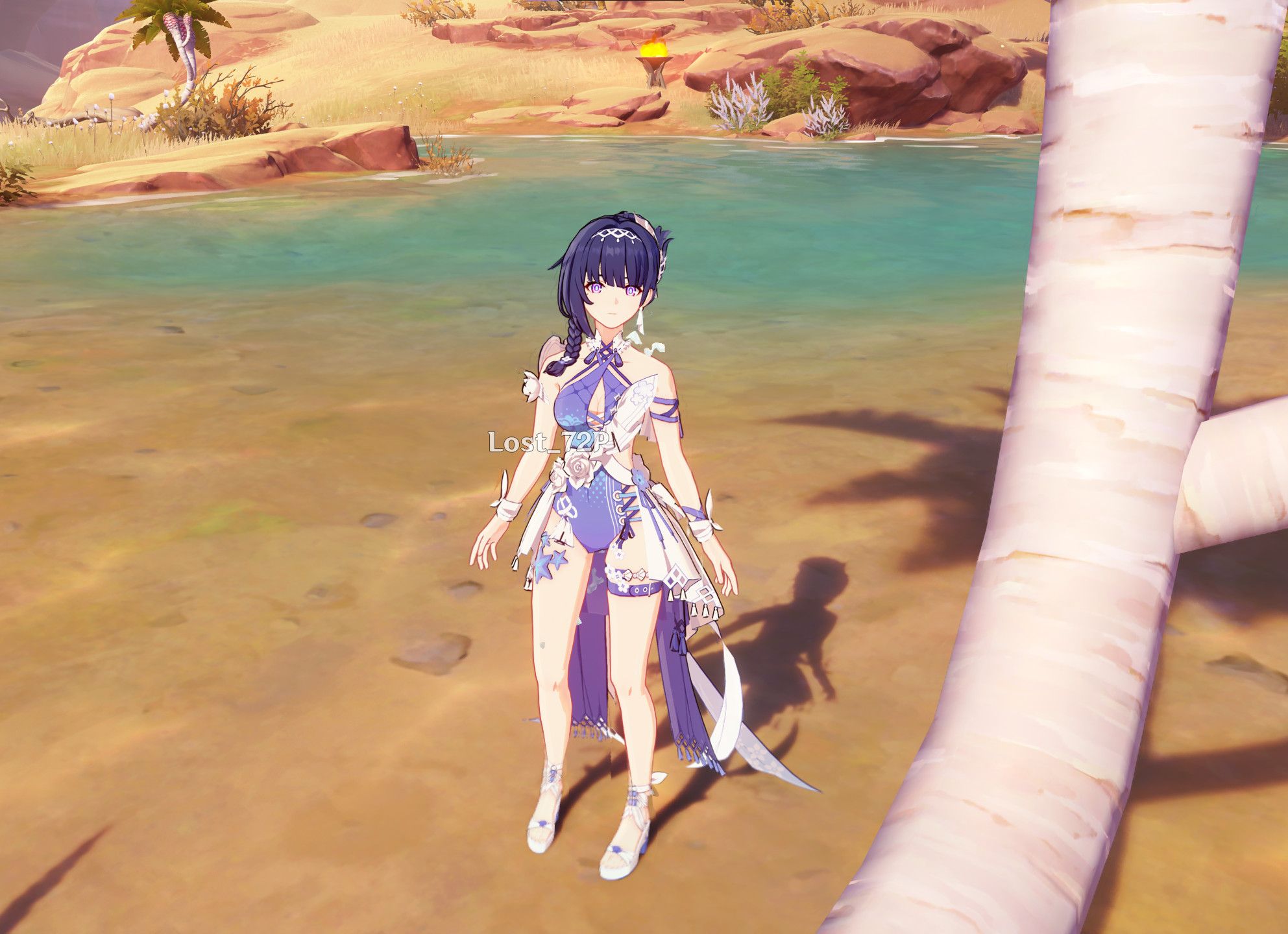 HI3rd Herrscher of Origin's Beach Skin Mod for Genshin Impact | GI Mods