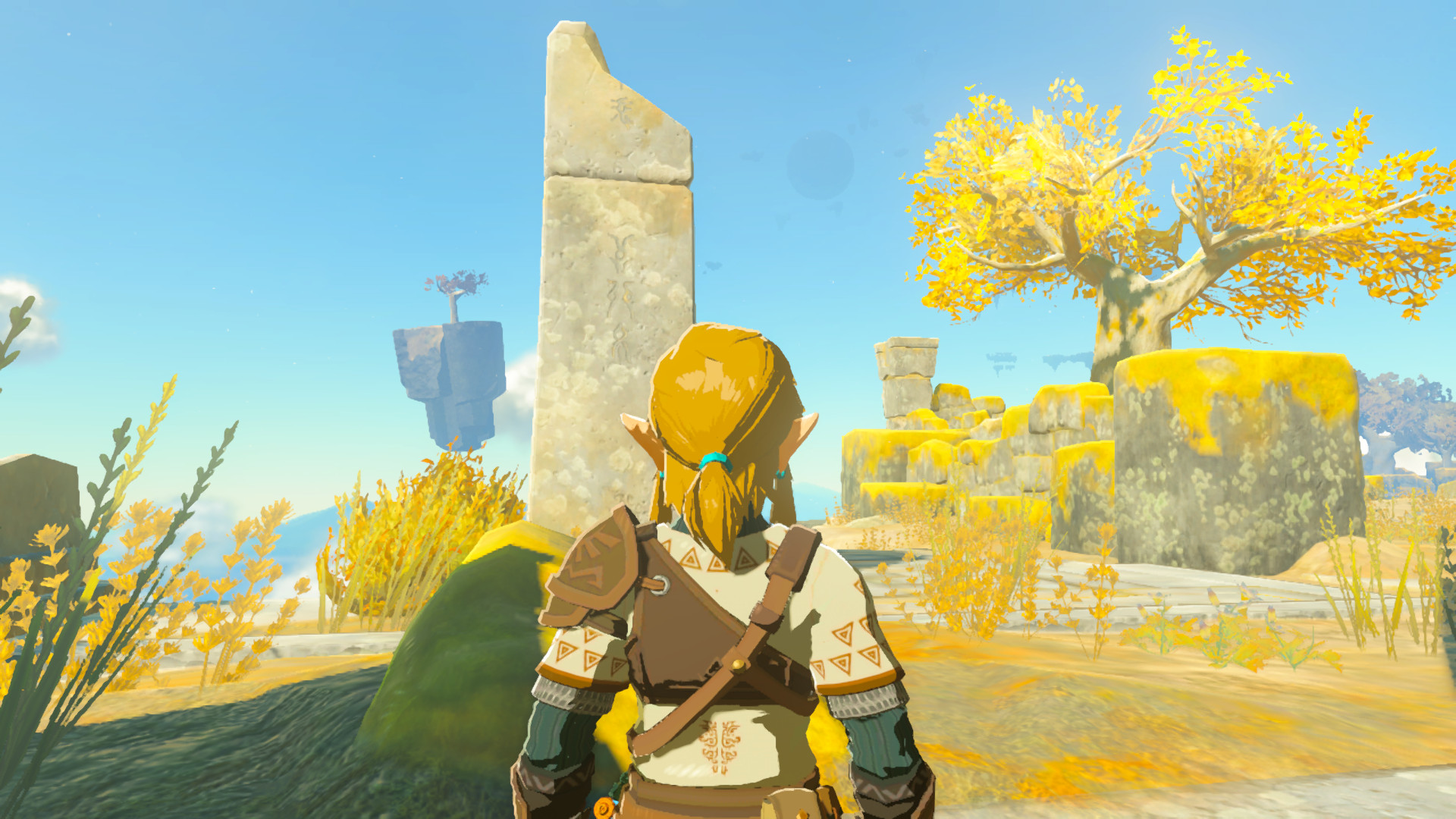 Ancient Sage's Leathers Mod for The Legend of Zelda: Tears of the ...