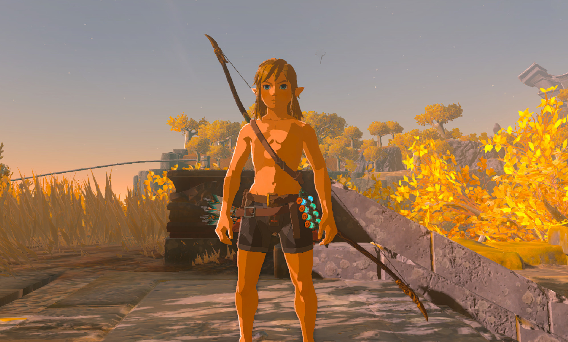 Link's Original Arm Restored (optional Triforce) Mod for The Legend of ...