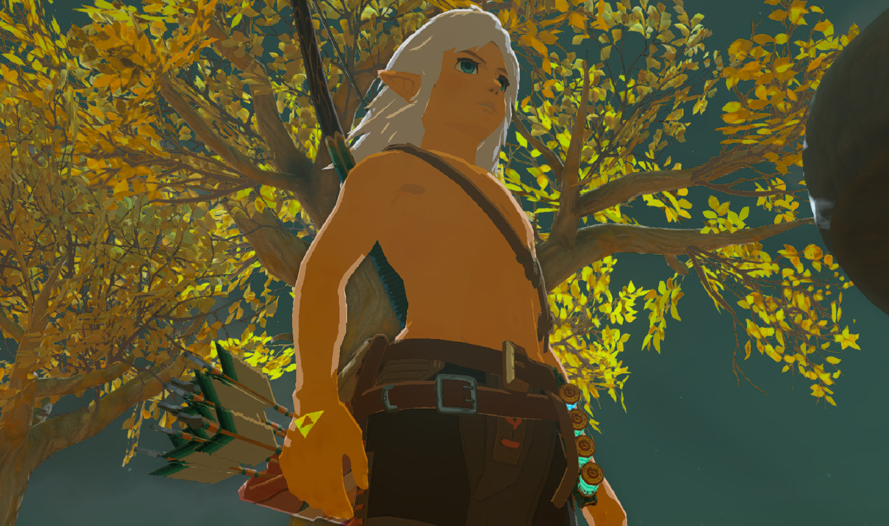 Link's Original Arm Restored (optional Triforce) Mod for The Legend of ...