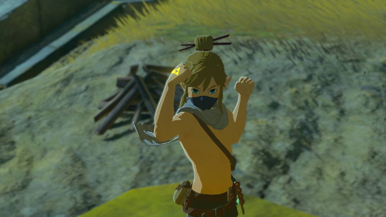 Link's Original Arm Restored (optional Triforce) Mod for The Legend of ...