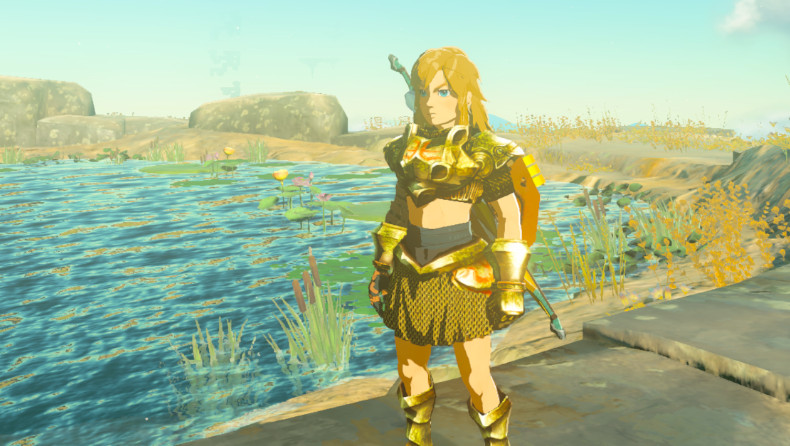 Hero`s Shade armor (From TP) Mod for The Legend of Zelda: Tears of the ...