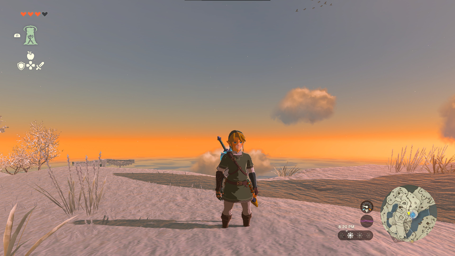 Lore-Accurate Hero of Twilight Set Mod for The Legend of Zelda: Tears ...