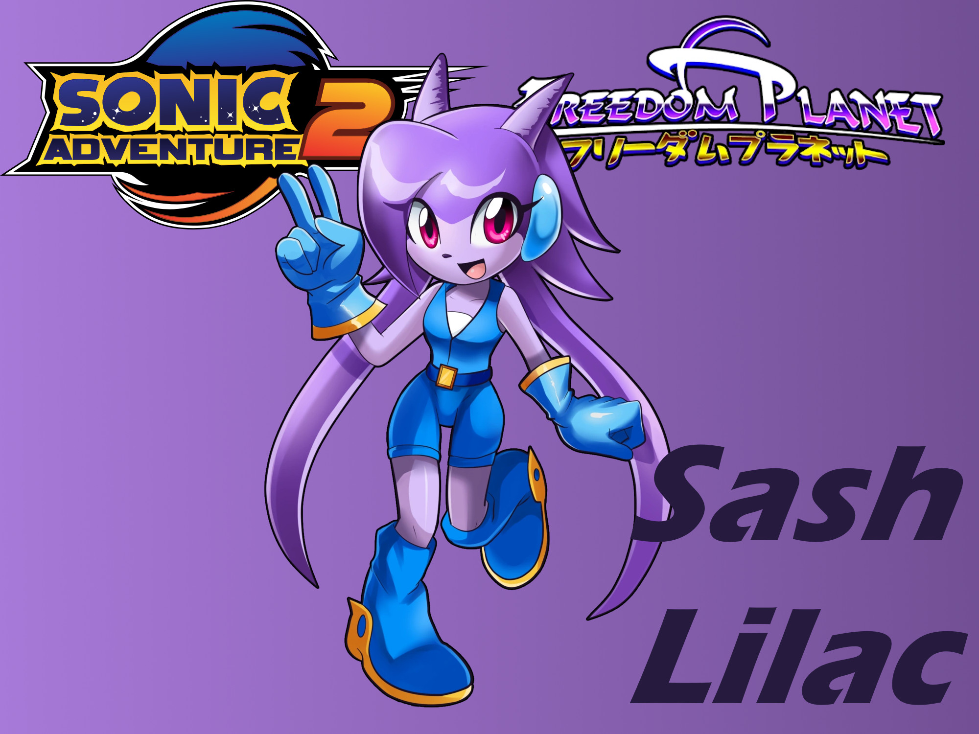 Sash Lilac Mod for Sonic Adventure 2 | SA2 Mods