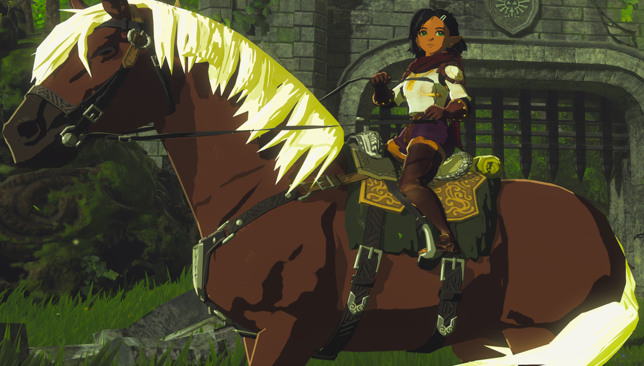 Casca Cosplay Thicc-Berserk Mod for The Legend of Zelda: Breath of the ...