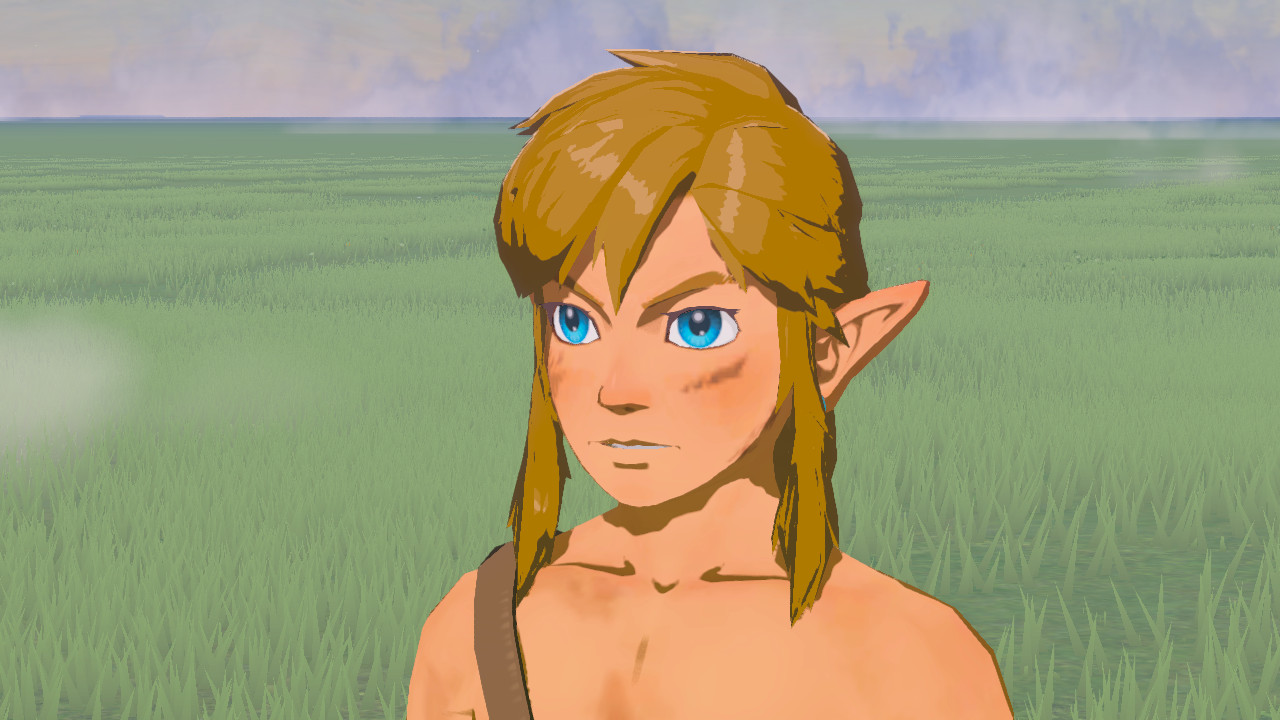 Link's Battle Scars Mod for The Legend of Zelda: Breath of the Wild ...