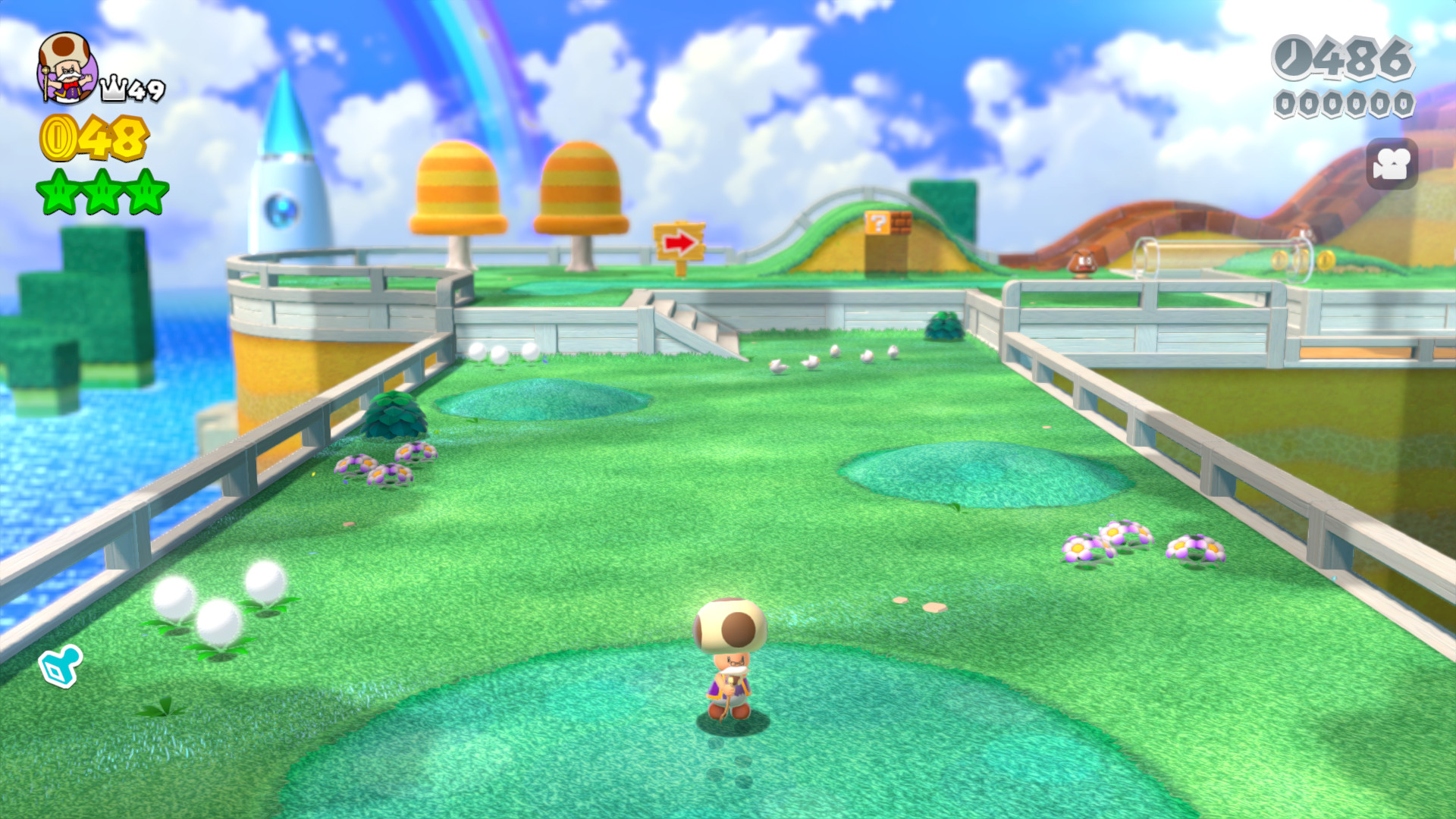 Toadsworth over Toad Mod for Super Mario 3D World + Bowser's Fury ...