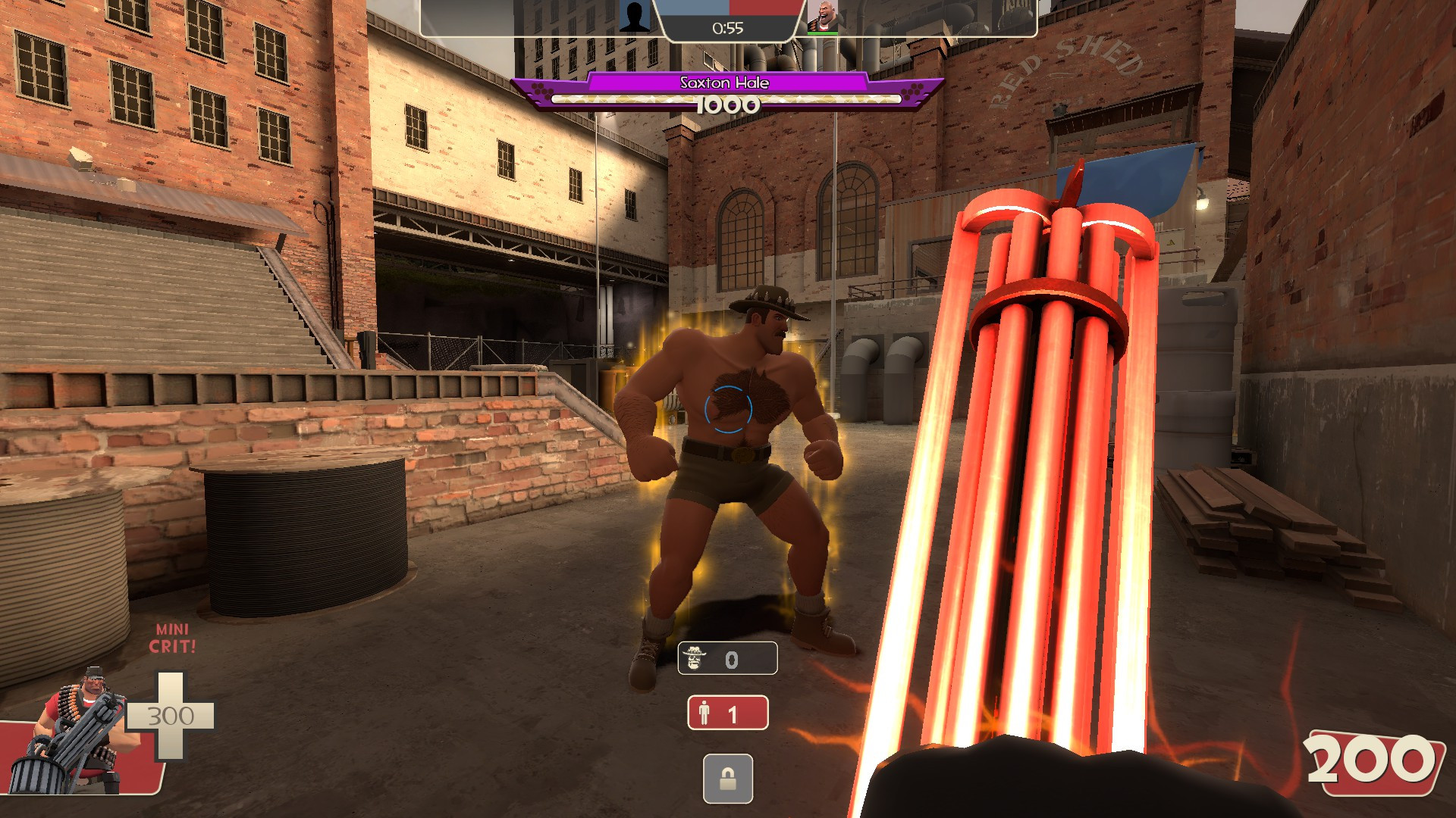 Klonoa Series Boss Health Bars Mod for Team Fortress 2 | TF2 Mods