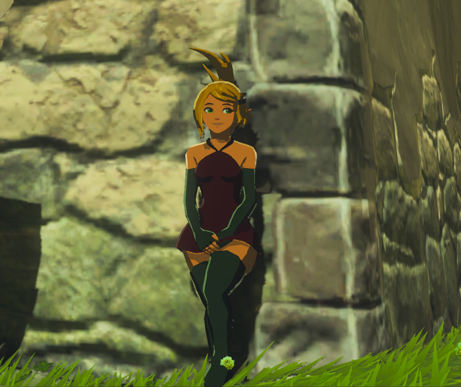 Red Dress Mod for The Legend of Zelda: Breath of the Wild (WiiU) | BotW ...