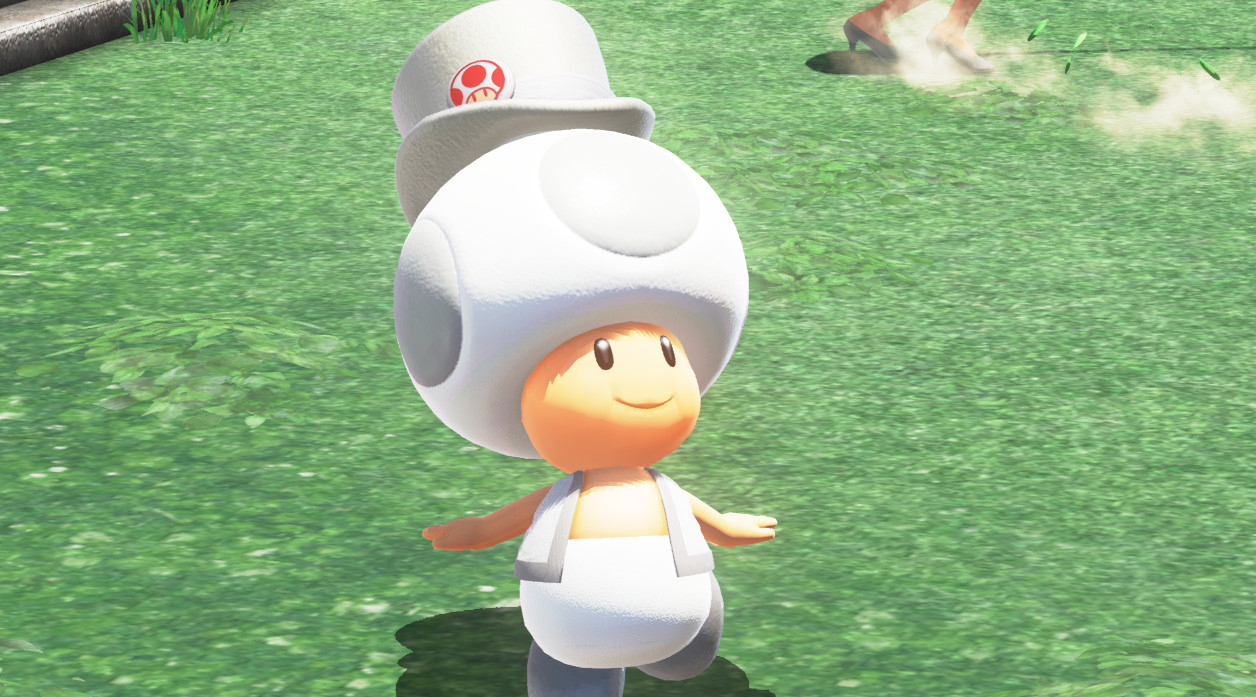 Super Toad Odyssey Mod for Super Mario Odyssey | SMO Mods