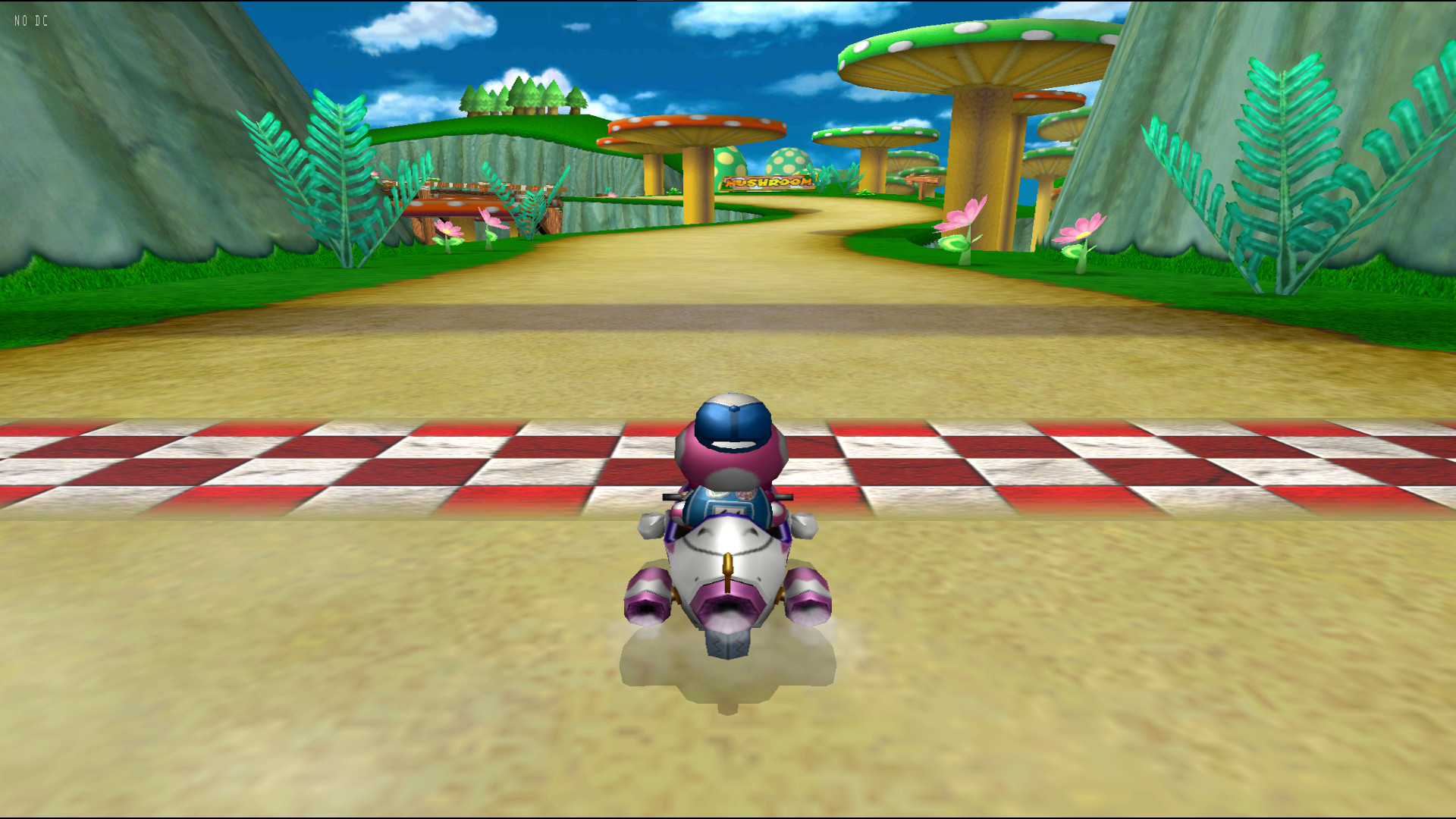 Toadette (Tourist) Mod for Mario Kart Wii | MKWii Mods