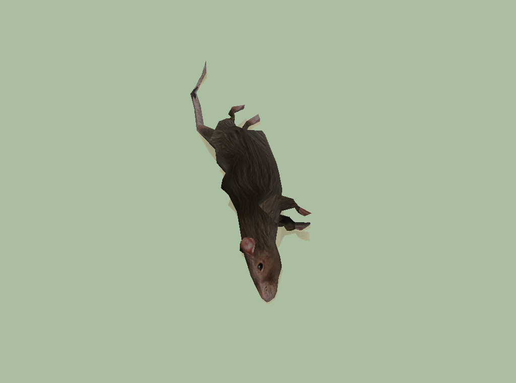New Rat Model Mod for Half-Life | HL Mods