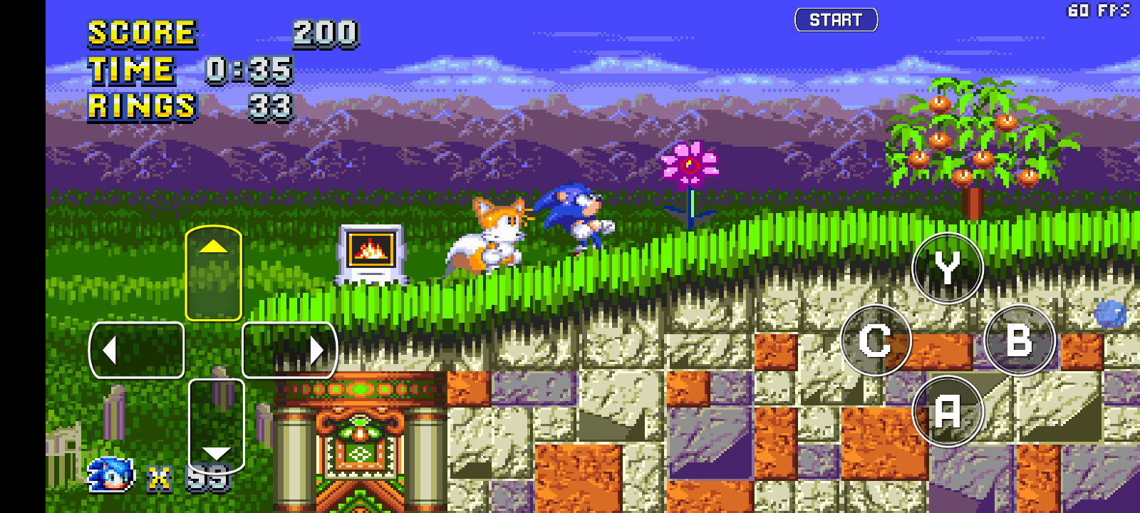 Flowers over animals Sonic 3 Style Mod for Sonic 3 A.I.R. | S3AIR Mods