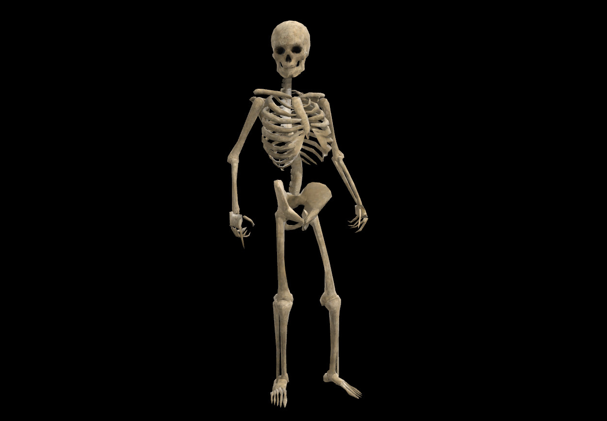 Skeleton Player Model Mod for Counter-Strike 2 | CS2 Mods