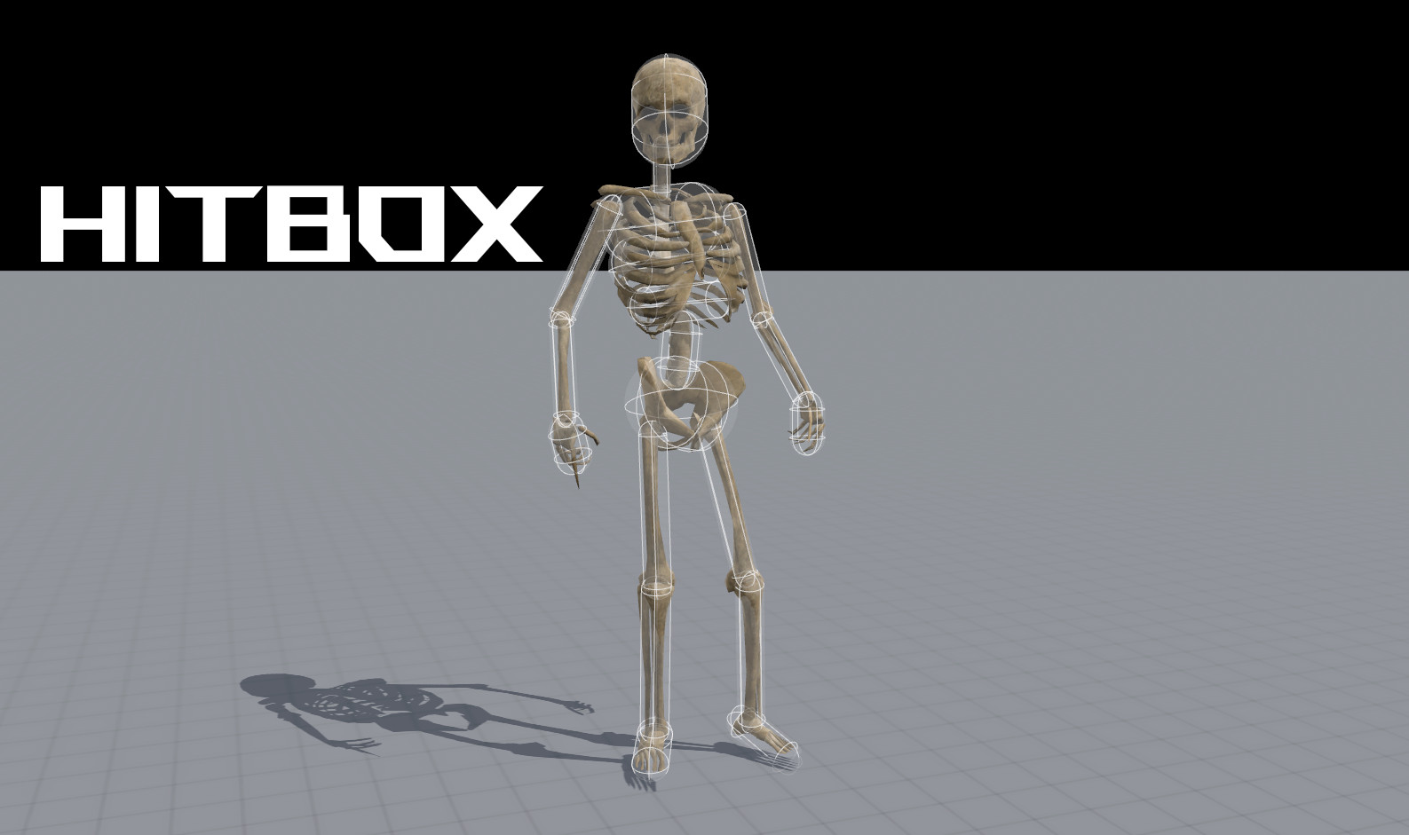 Skeleton Player Model Mod for Counter-Strike 2 | CS2 Mods