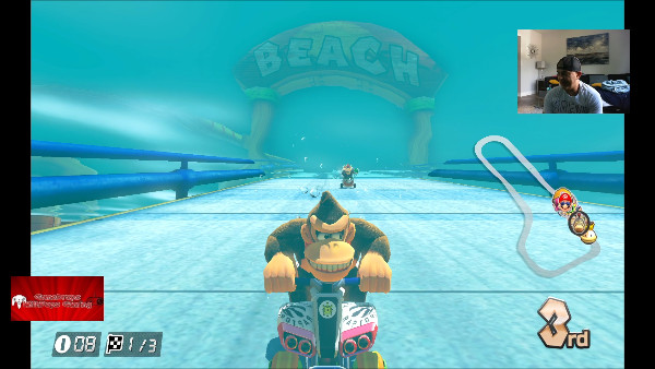 Real Silverback Gorrila Fur DK MK8D mod Mod for Mario Kart 8 Deluxe ...