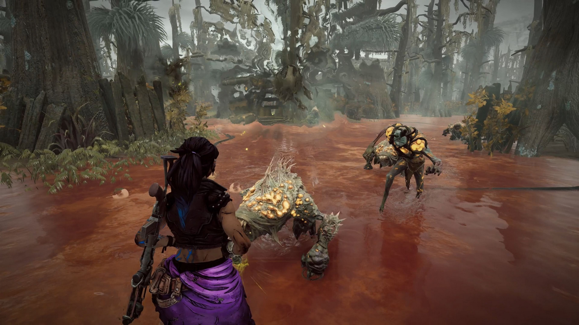 Remnant From The Ashes Borderlands 3 Amara Mod Mod for Remnant: From ...