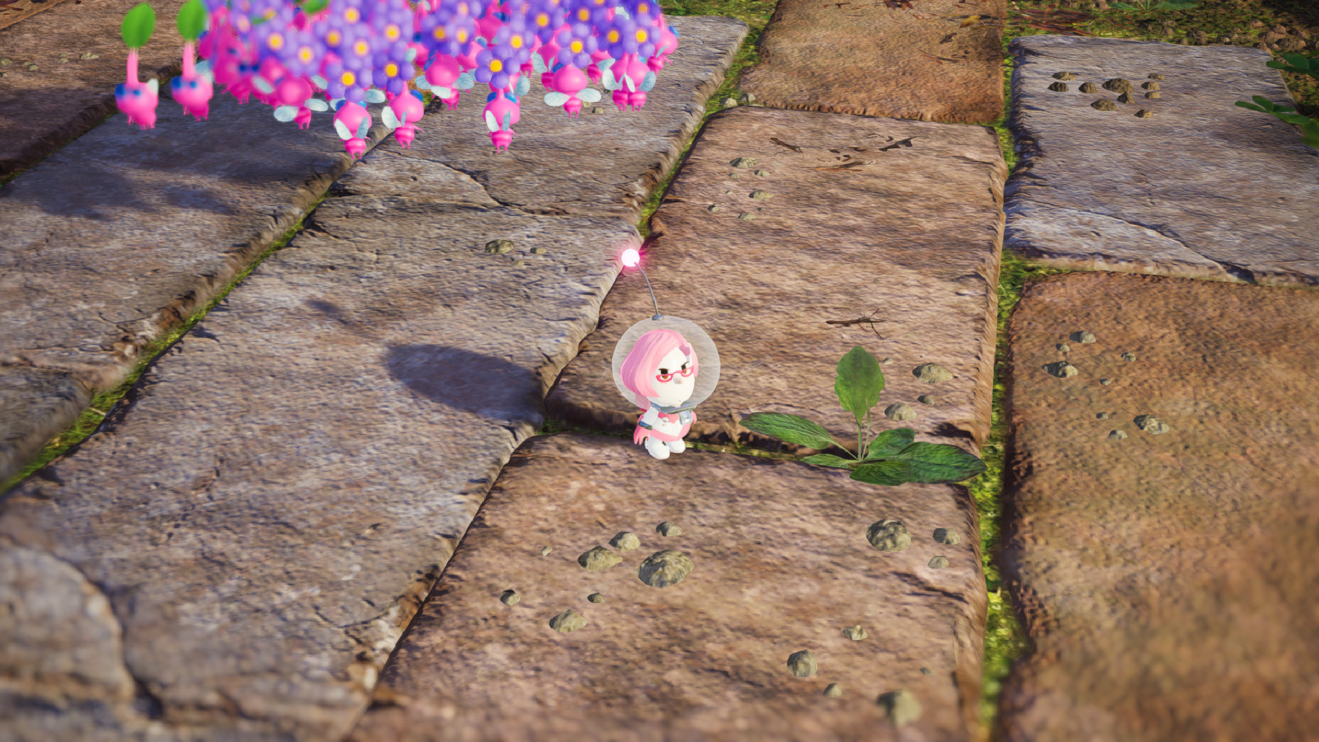 Pikmin 3 Avatars Mod for Pikmin 4 | Pikmin 4 Mods