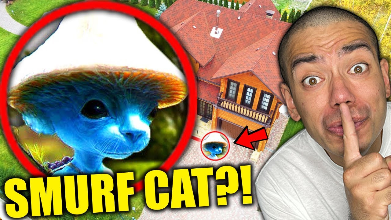 VS Smurf Cat Mod for Friday Night Funkin' | FNF Mods