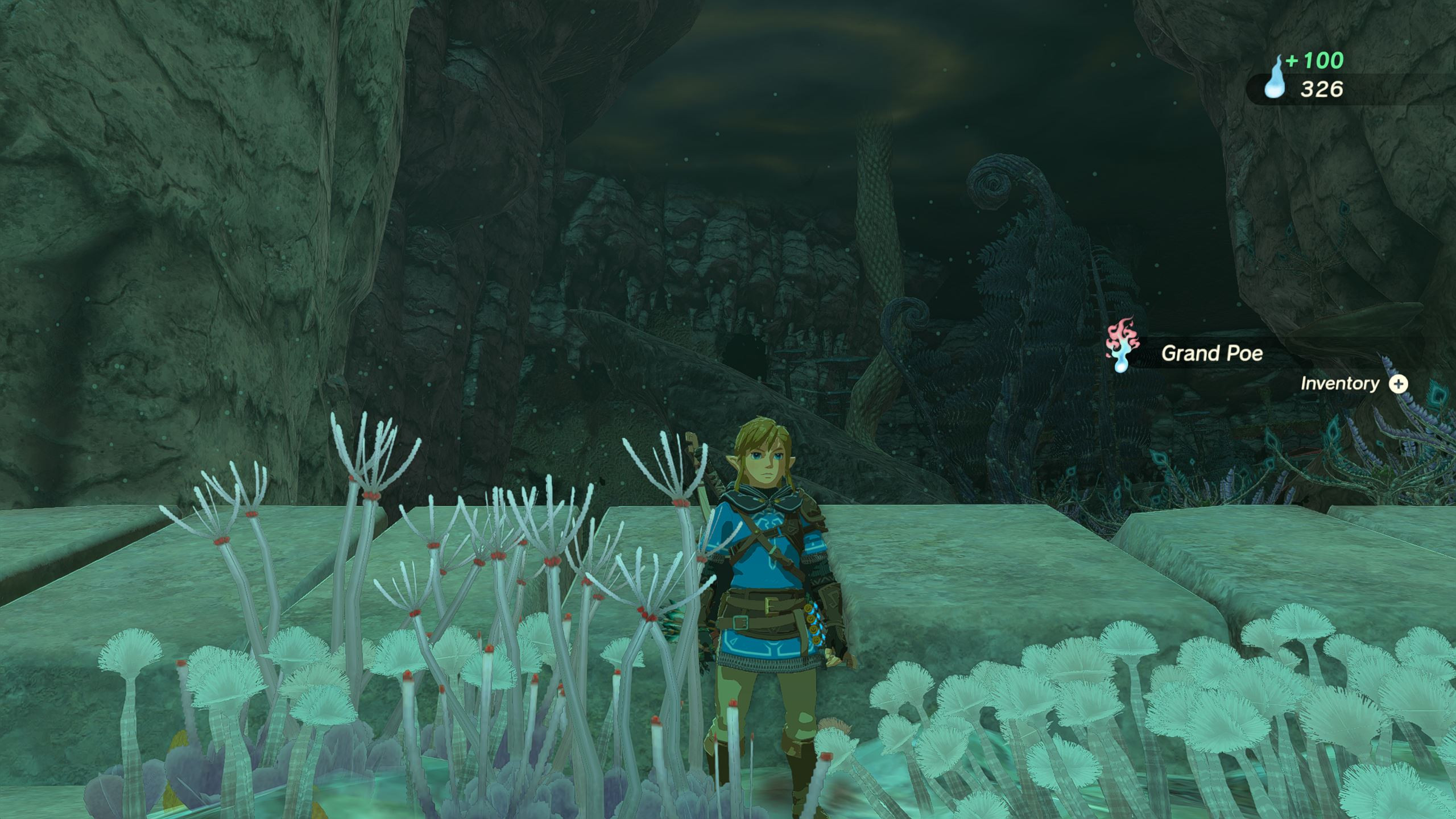 Prosperous Poes: Poe Value Multiplier Mod for The Legend of Zelda ...