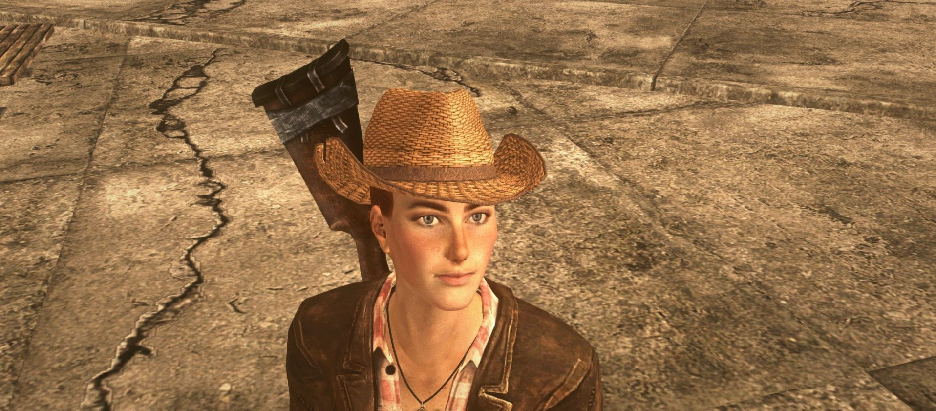 All Cowboy Hats Retexture Mod for Fallout: New Vegas | FO:NV Mods