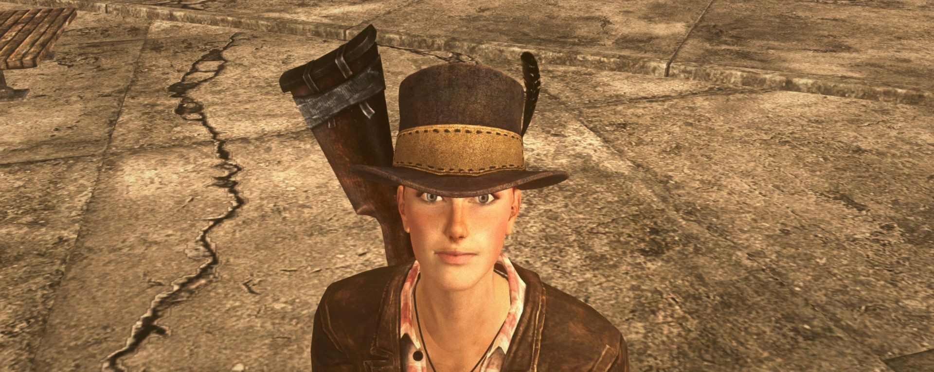 All Cowboy Hats Retexture Mod for Fallout: New Vegas | FO:NV Mods