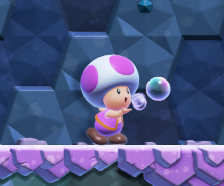 Toad over Blue Toad Mod for Super Mario Bros. Wonder | SMBW Mods