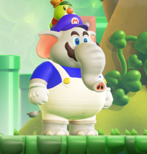 SMG4 (WGP Original) Mod for Super Mario Bros. Wonder | SMBW Mods