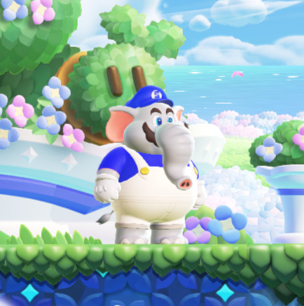 SMG4 mod Mod for Super Mario Bros. Wonder | SMBW Mods