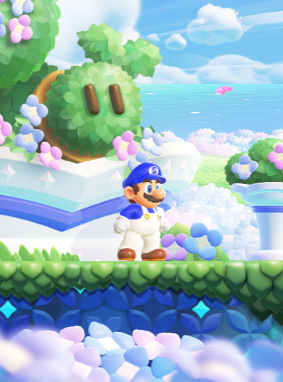 SMG4 mod Mod for Super Mario Bros. Wonder | SMBW Mods