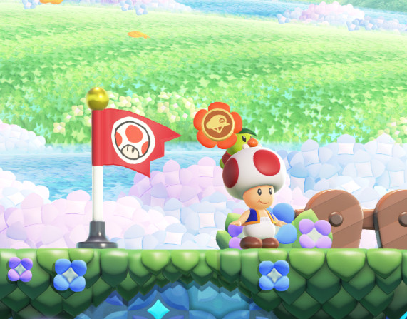 Toad over Blue Toad Mod for Super Mario Bros. Wonder | SMBW Mods