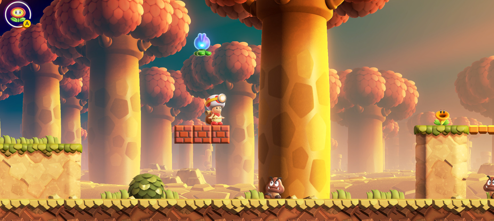 Playable Captain Toad Mod for Super Mario Bros. Wonder | SMBW Mods