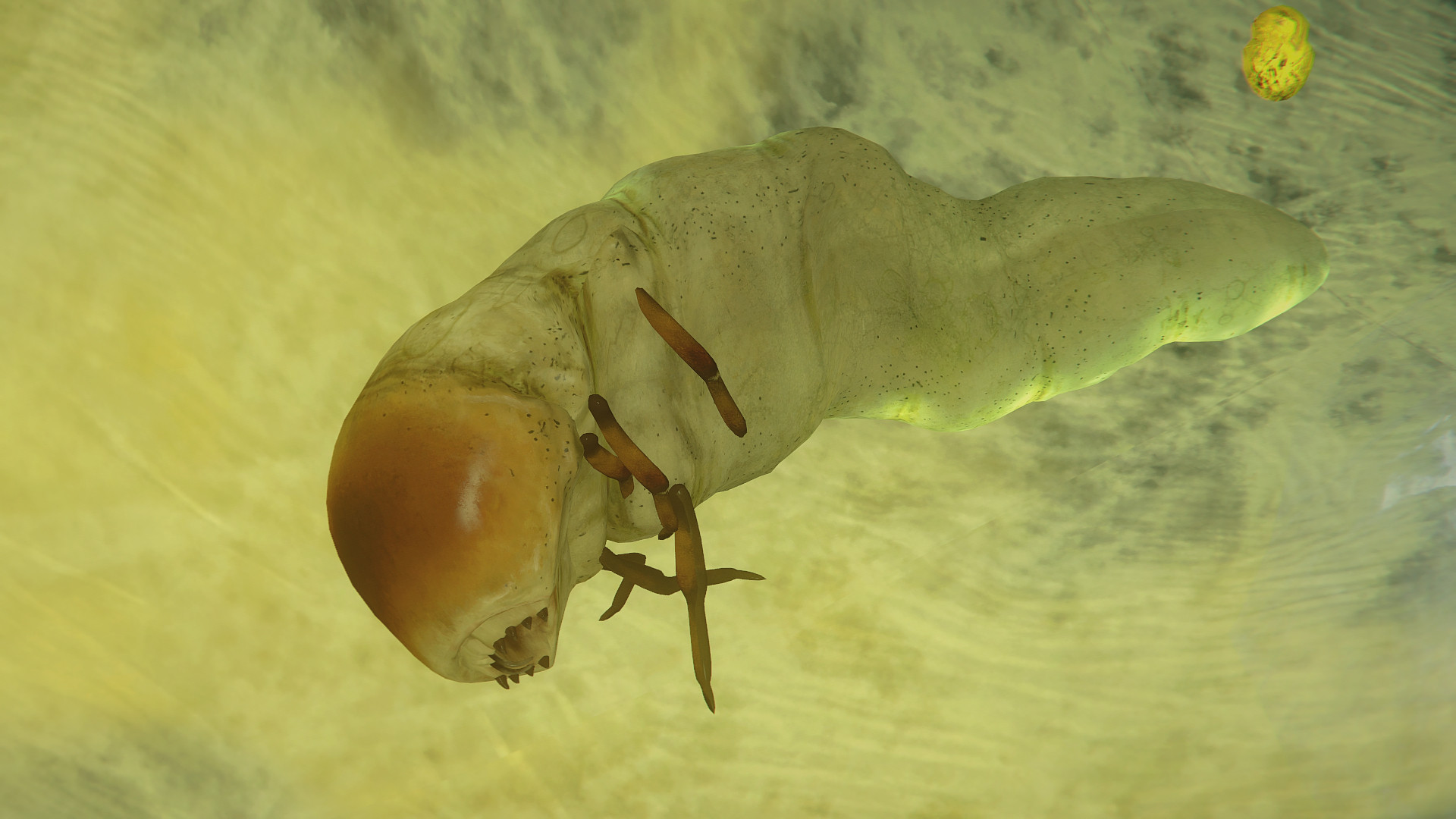 Better Antlion Grub Mod for Half-Life 2 | HL2 Mods