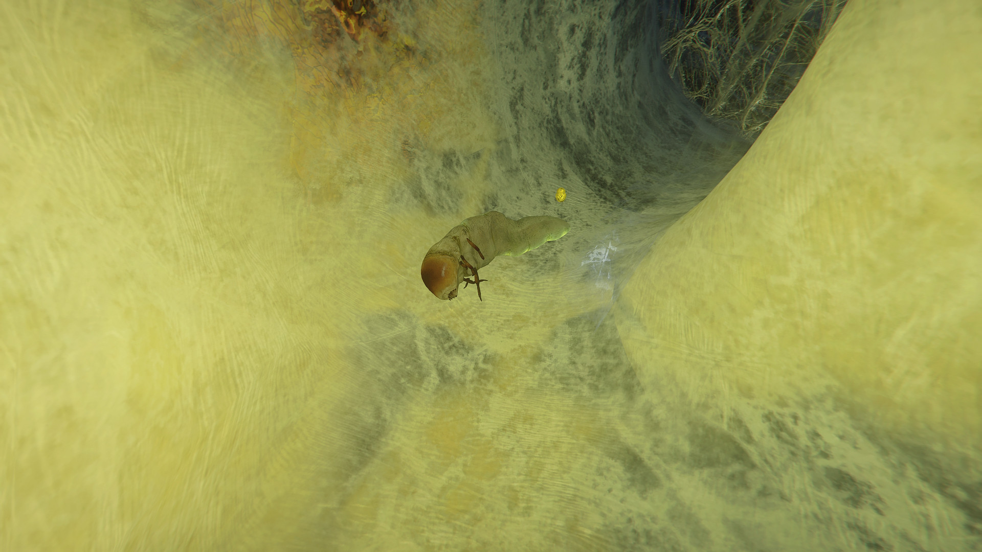 Better Antlion Grub Mod for Half-Life 2 | HL2 Mods