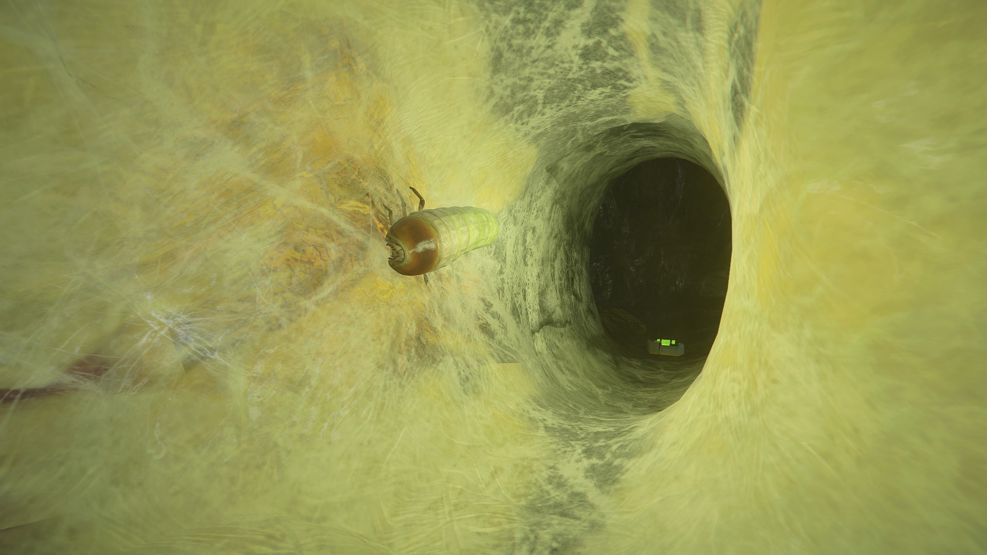 Better Antlion Grub Mod for Half-Life 2 | HL2 Mods
