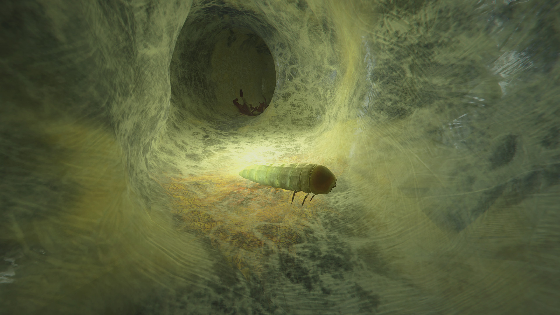 Better Antlion Grub Mod for Half-Life 2 | HL2 Mods