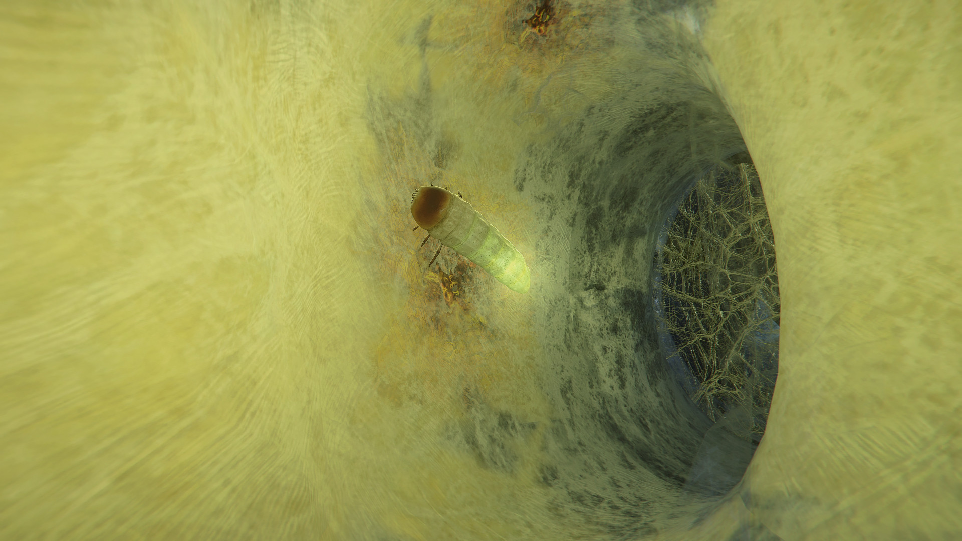 Better Antlion Grub Mod for Half-Life 2 | HL2 Mods